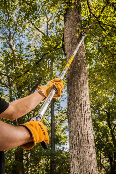 PP 100 Extended Reach Pruner | Precise Pruning Tool | STIHL USA